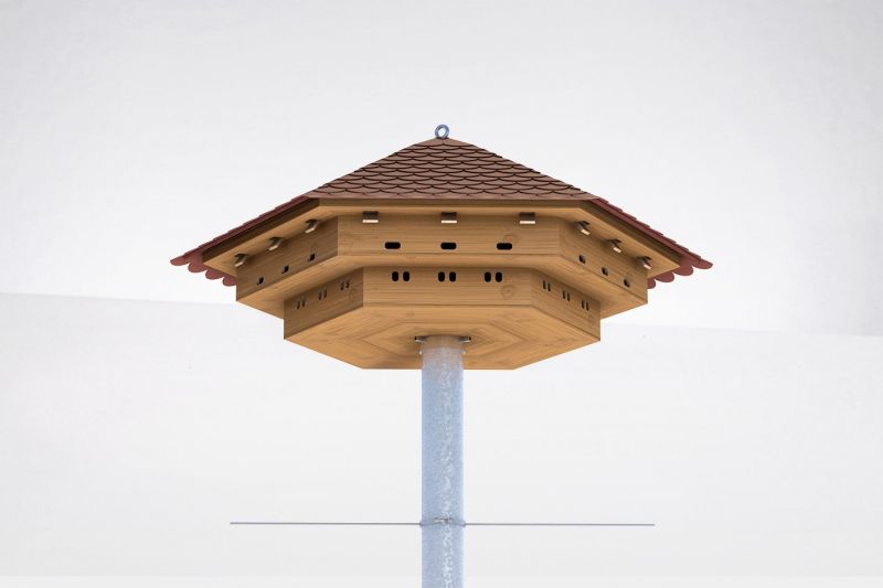 Sparrow house with steel pole and foundation